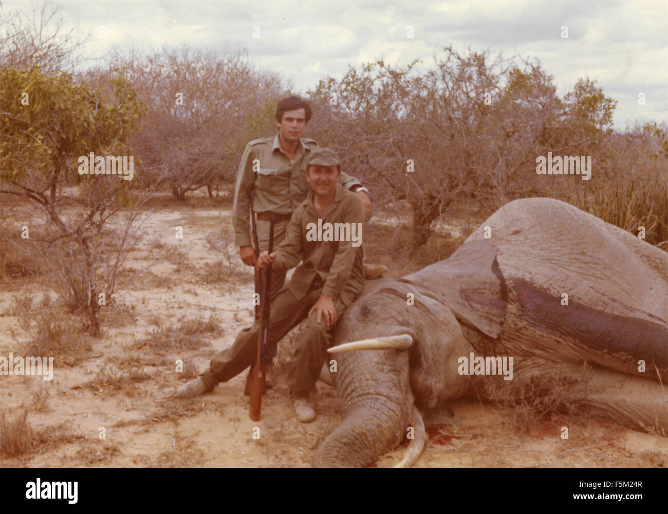 Two hunters with an elephant killed, Somalia Stock Photo - Alamy