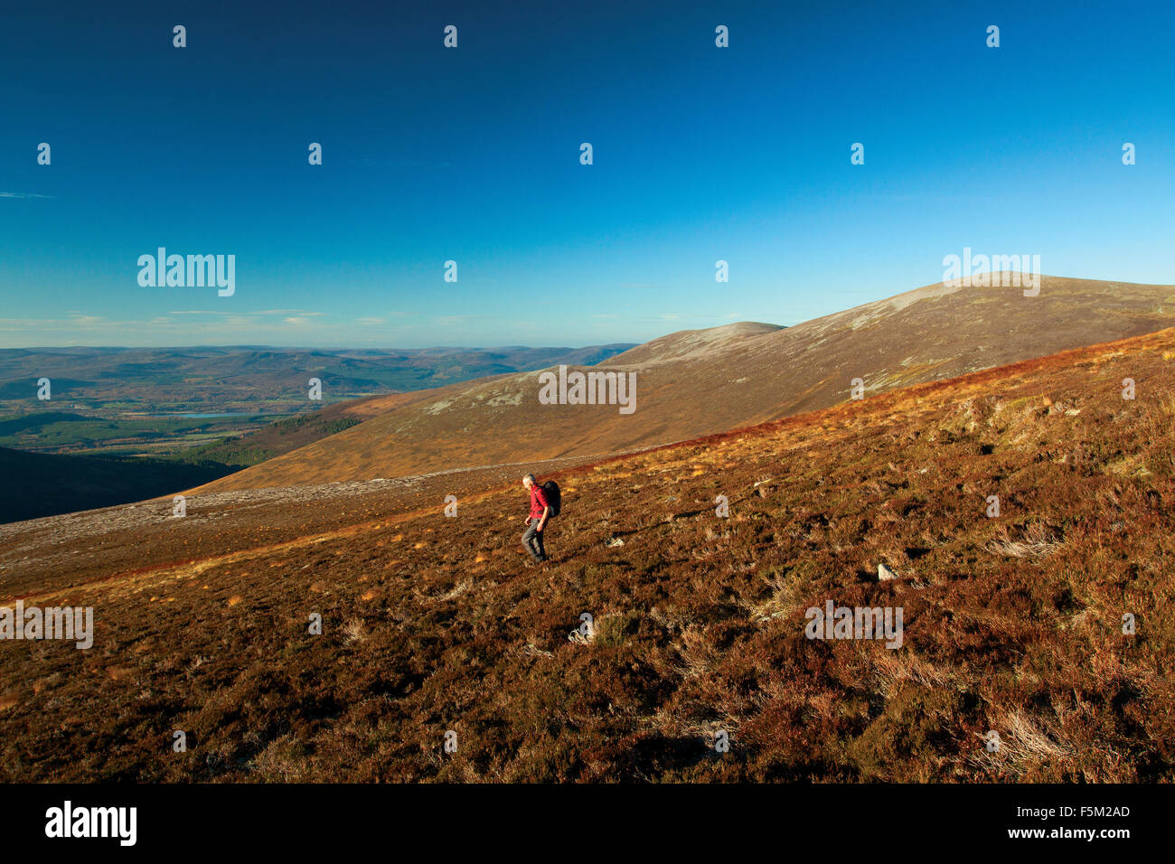 Invereshie and Inchriach National Nature Reserve from Carn Ban Mor ...