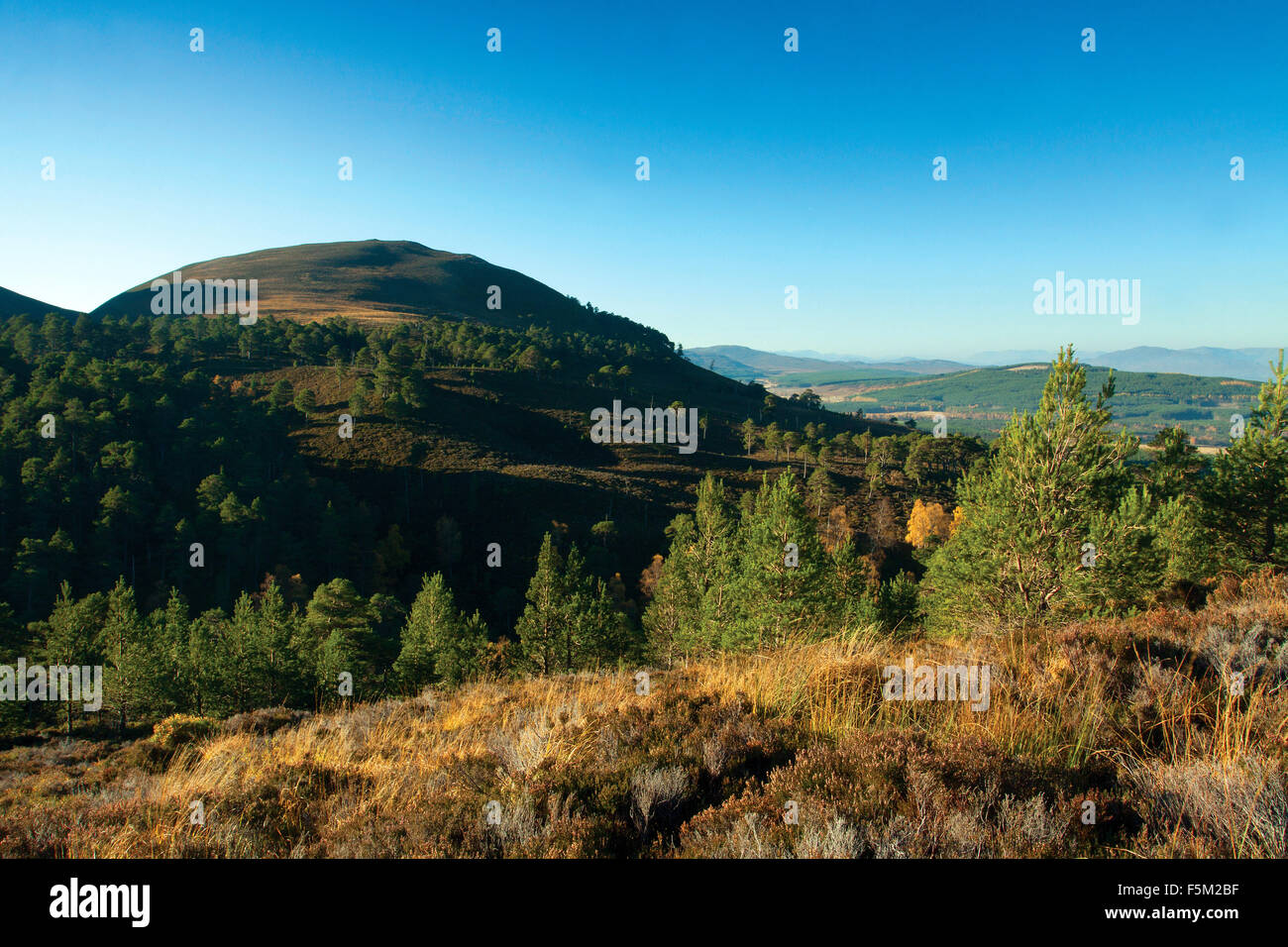 Invereshie and Inchriach National Nature Reserve, Glen Feshie ...
