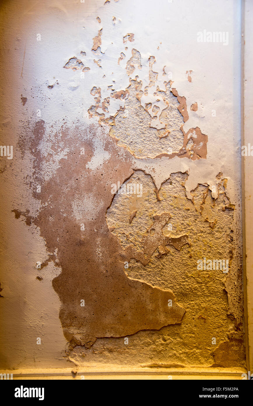 Plaster peeling from wall Stock Photo - Alamy