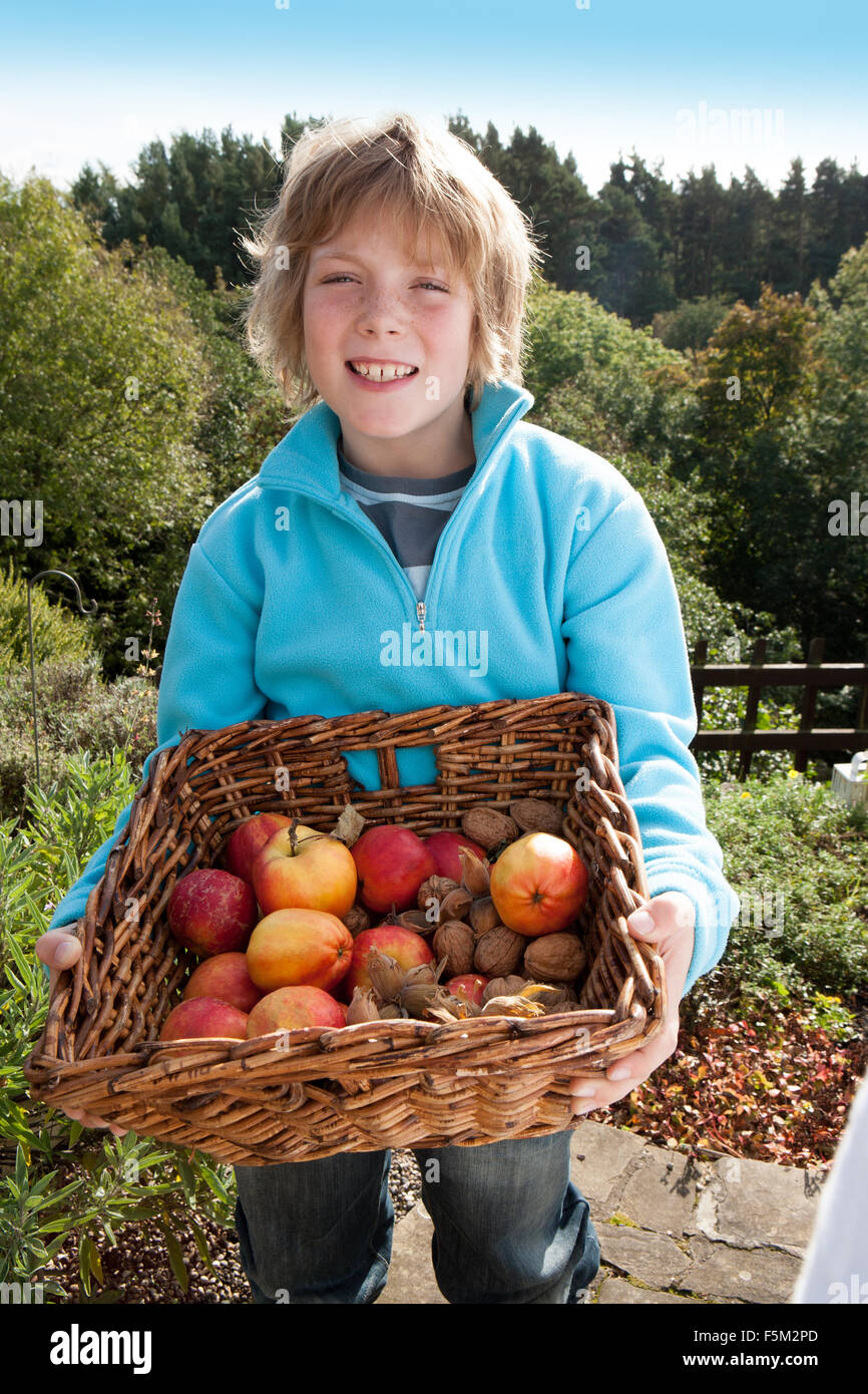 Picked fruit trees hi-res stock photography and images - Alamy