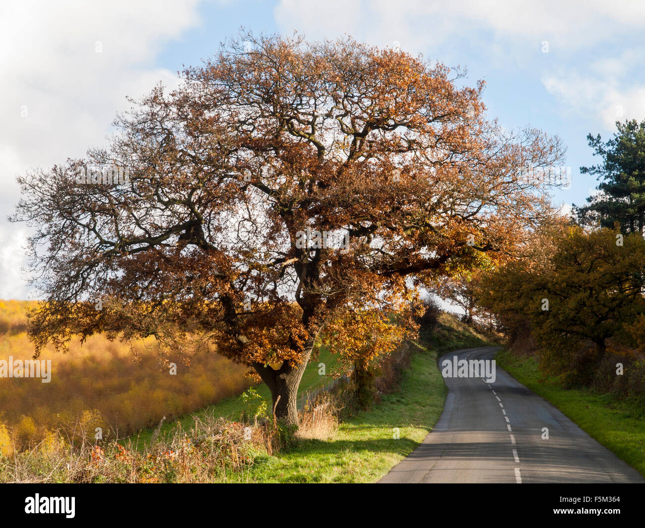 Nottinghamshire village countryside hi-res stock photography and images ...