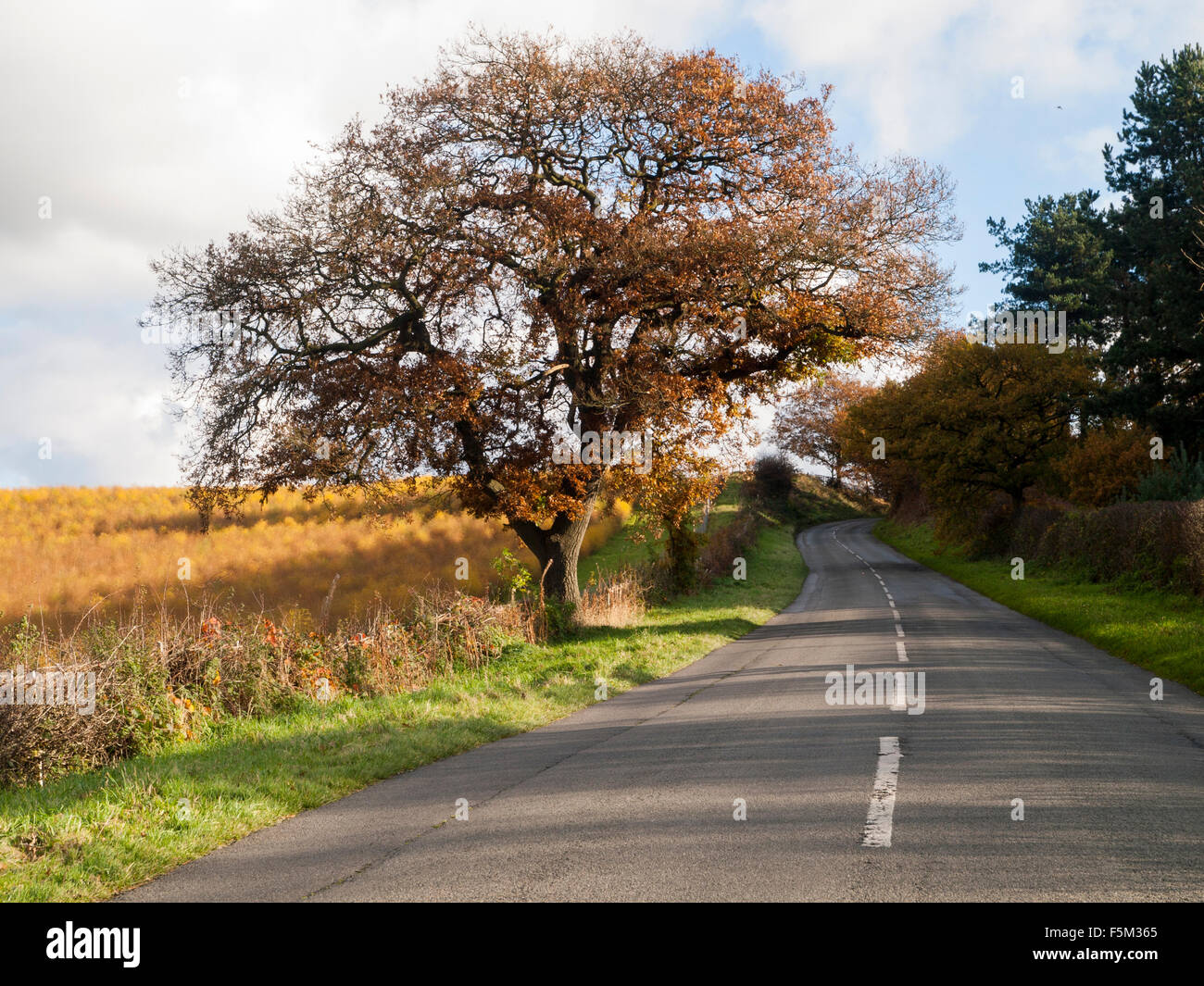 Nottinghamshire village countryside hi-res stock photography and images ...