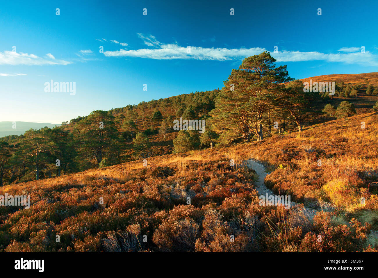 Invereshie hi-res stock photography and images - Alamy
