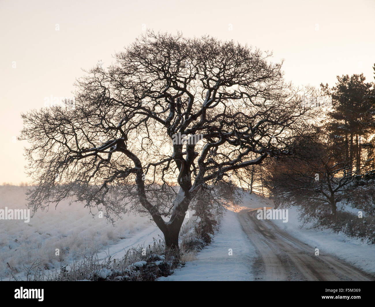 Nottinghamshire village countryside hi-res stock photography and images ...