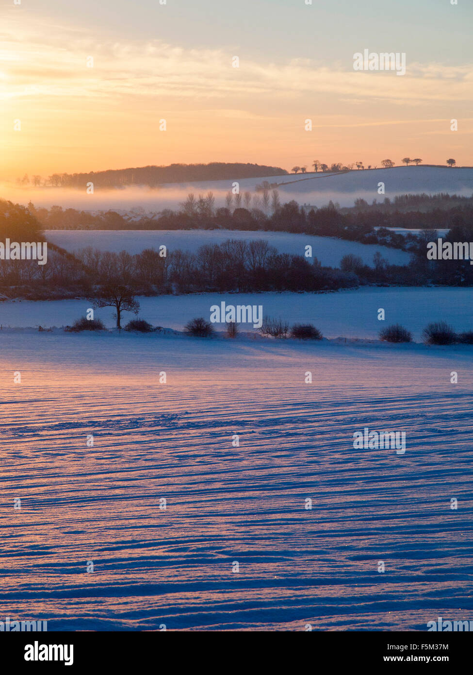 Winter sunrise over the fields surrounding Calverton in Nottinghamshire ...