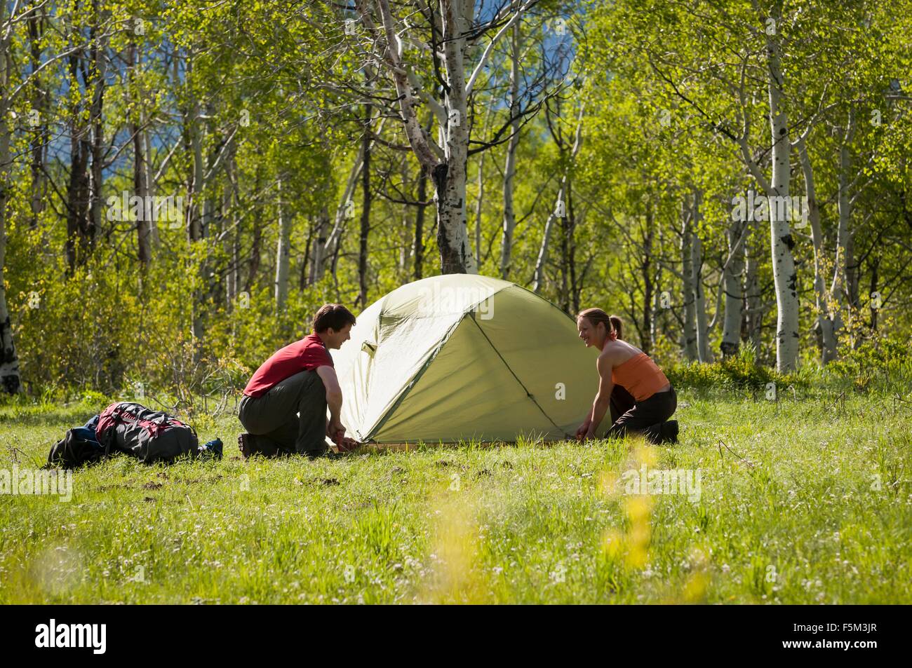 Setting up camp on backpacking trip, Uinta National Forest, Wasatch ...