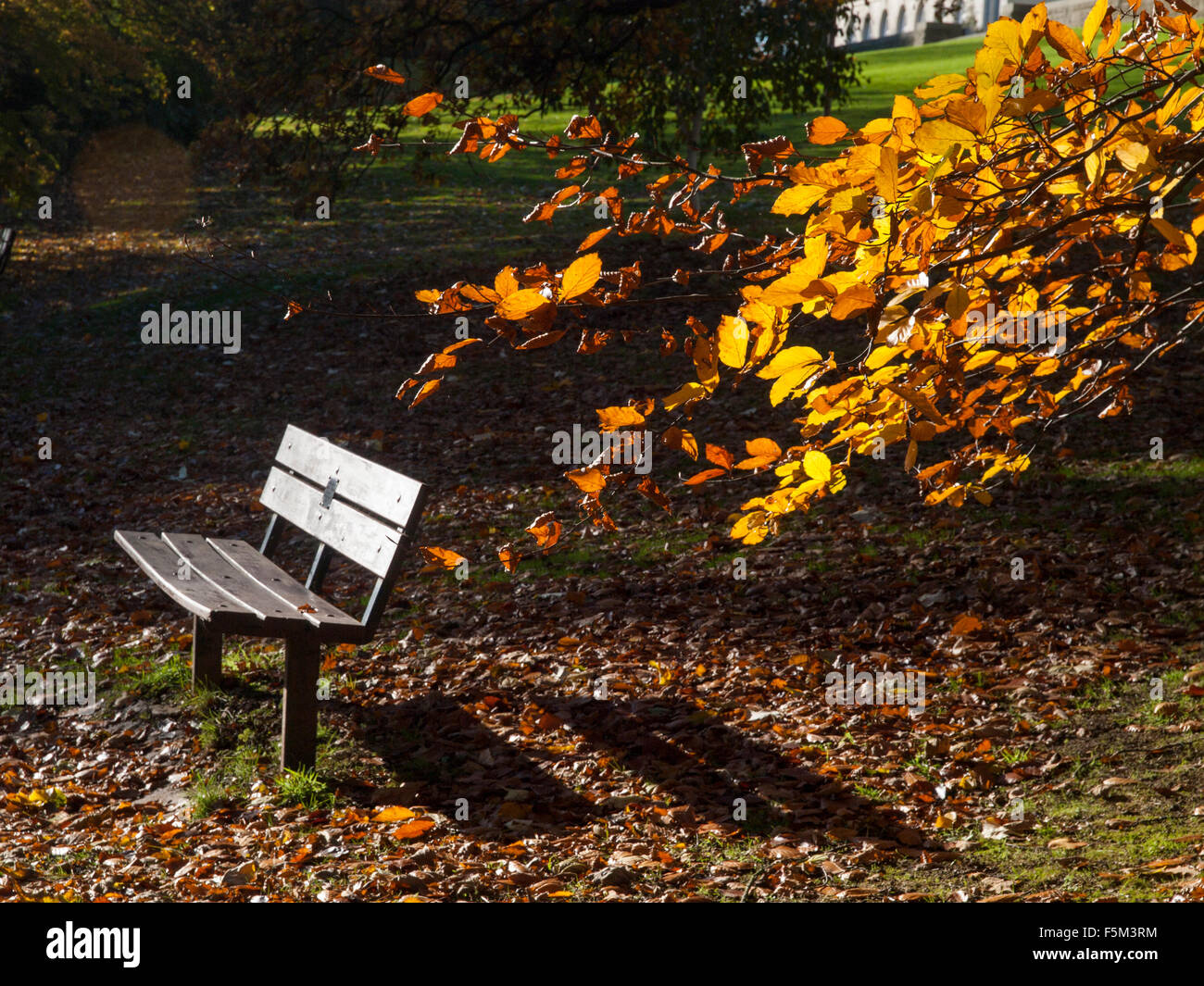 Highfields uk hi-res stock photography and images - Alamy