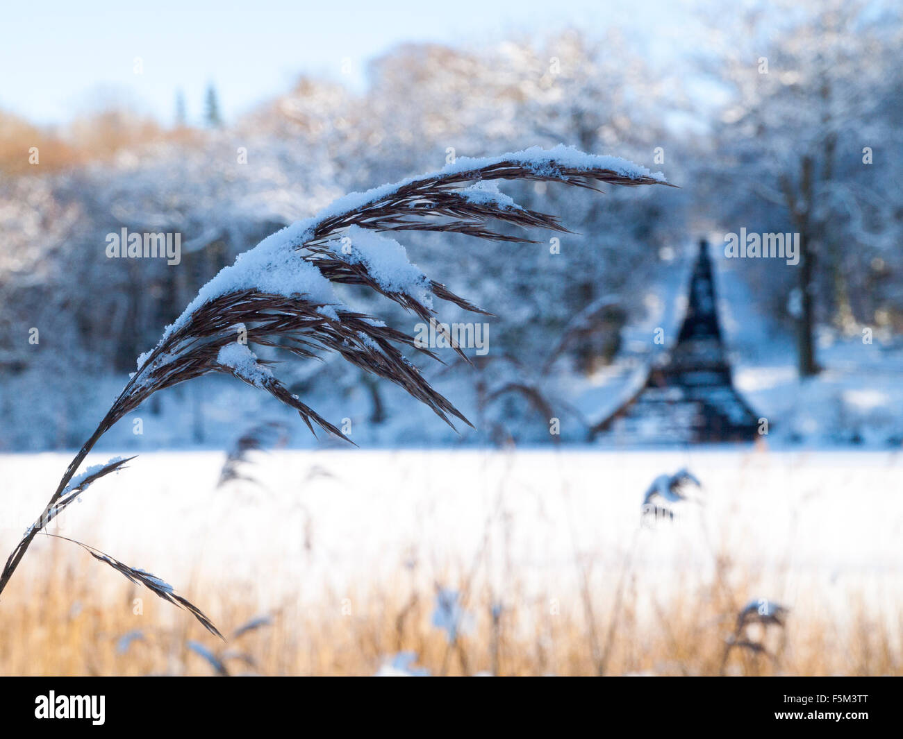 Gnoll country park hi-res stock photography and images - Alamy