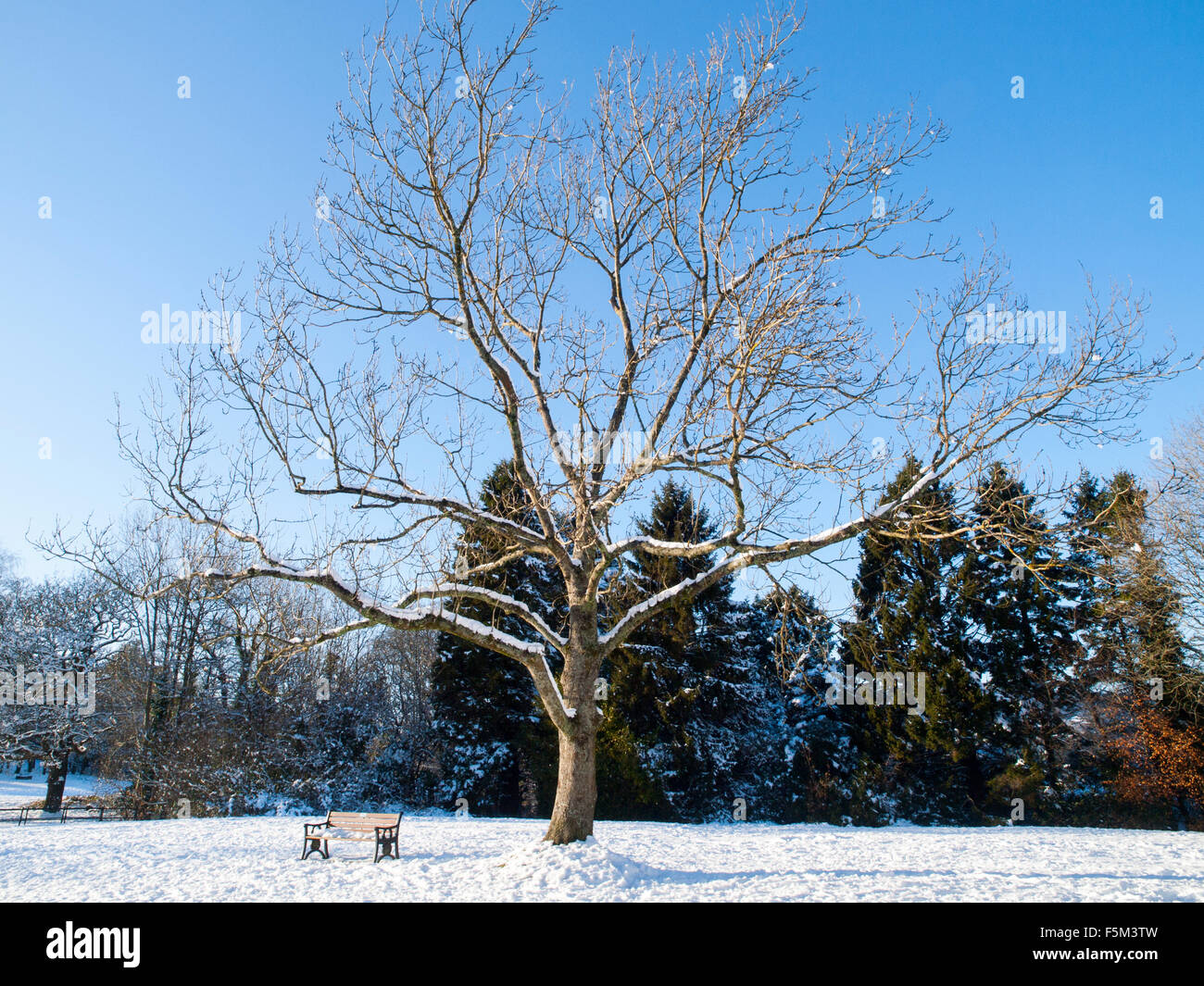 Gnoll country park hi-res stock photography and images - Alamy