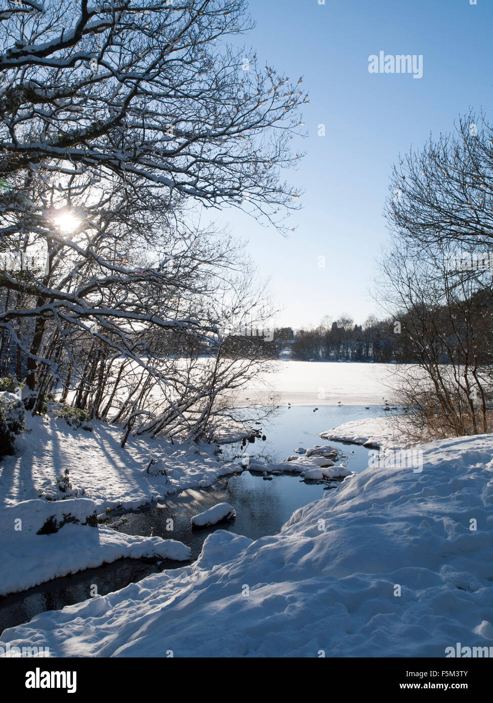 Winter snow at the Gnoll Estate Country Park in Neath, Port Talbot ...