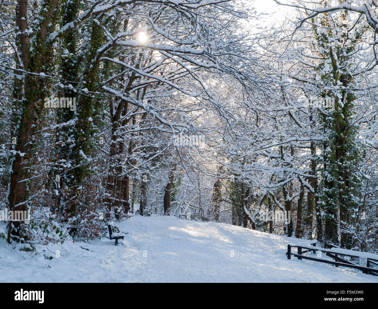 Winter snow at the Gnoll Estate Country Park in Neath, Port Talbot ...