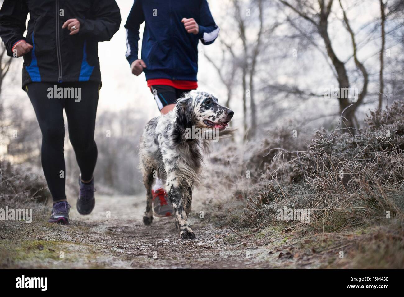 Neck down of mother and son running with dog Stock Photo - Alamy