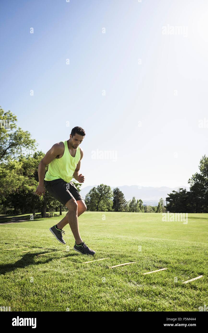Agility ladder hi-res stock photography and images - Alamy