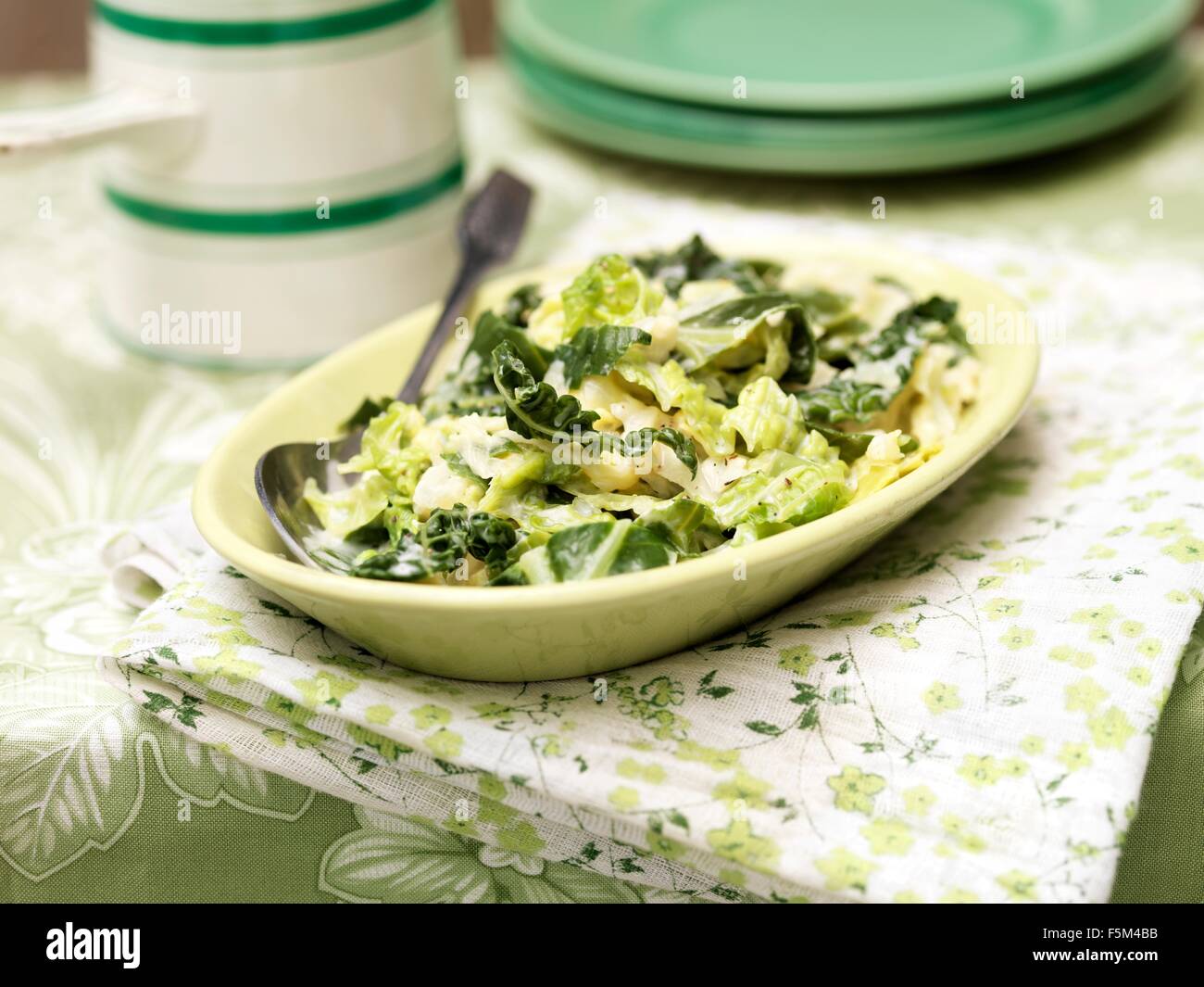 Cabbage f hi-res stock photography and images - Alamy