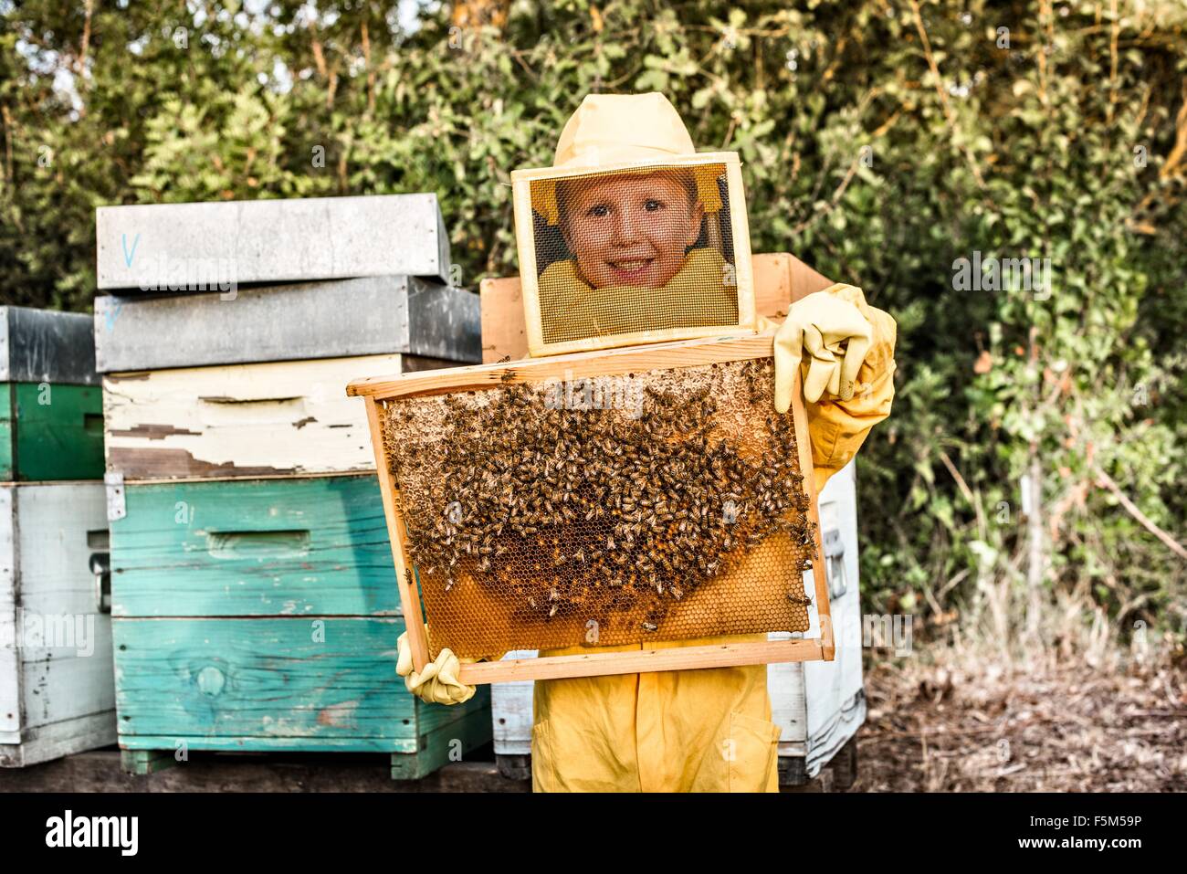 Portrait of young boy in beekeeper dress holding hive frame full of ...