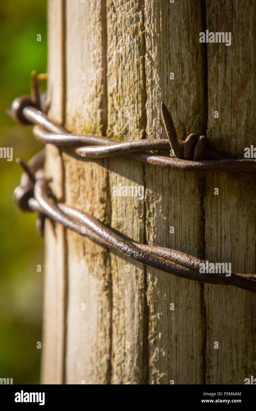 Rusty Barbed Wire Stock Photo - Alamy