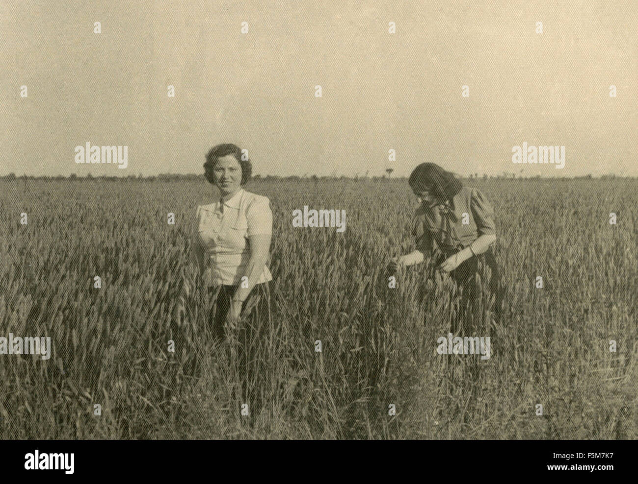 Two women in a wheat field, Italy Stock Photo - Alamy