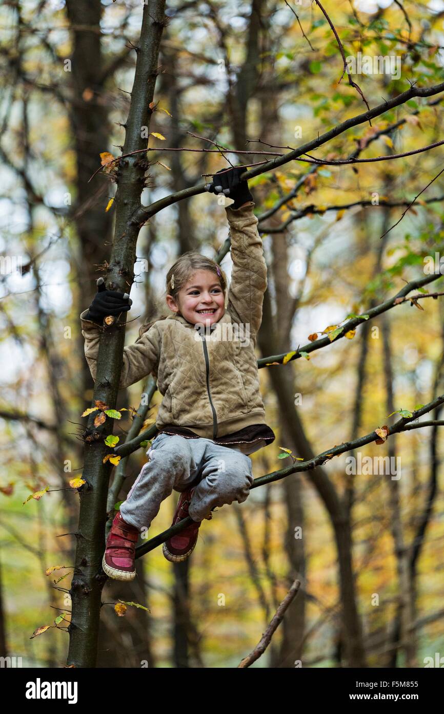 Girl hanging on to tree branch in autumn forest Stock Photo - Alamy