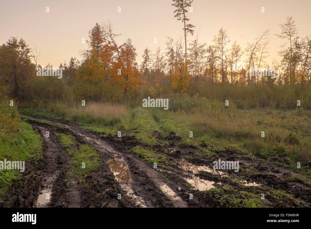 Mud field wet hi-res stock photography and images - Alamy