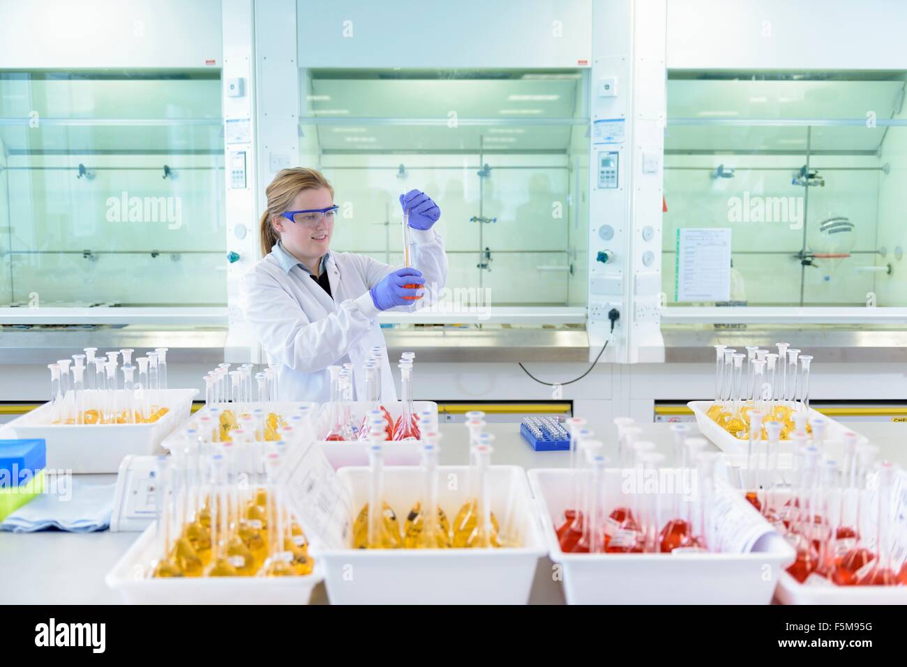 Group testing hi-res stock photography and images - Alamy