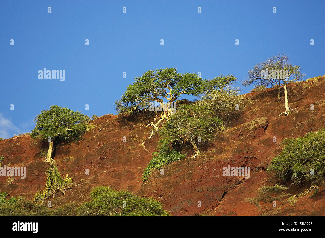 Kokwa Island at Baringo Lake, Kenya Stock Photo - Alamy
