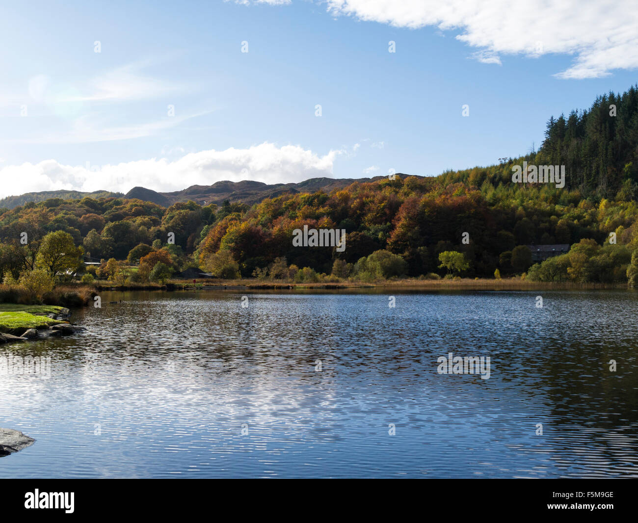 Llyn Geirionydd Conwy North Wales surrounded by autumn colours where ...