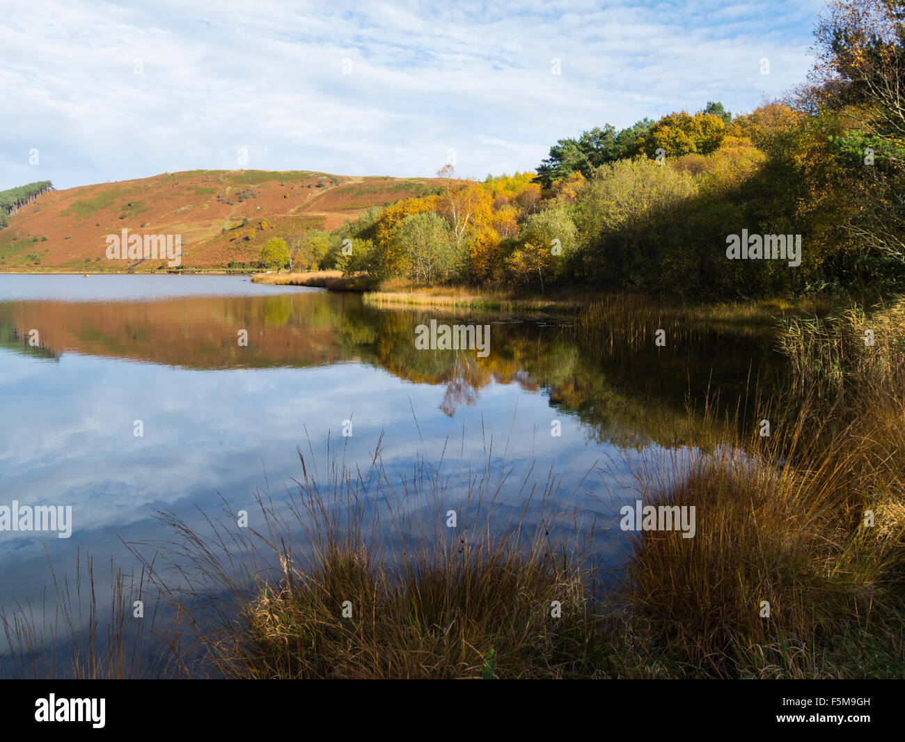 Gwydyr forest park conwy hi-res stock photography and images - Alamy