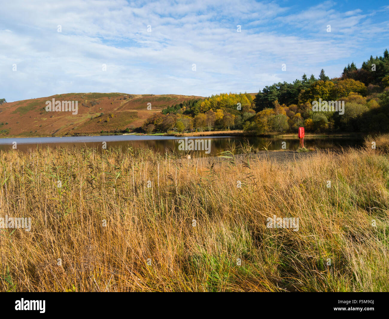 Llyn Geirionydd Conwy North Wales on lovely autumn day where the ...