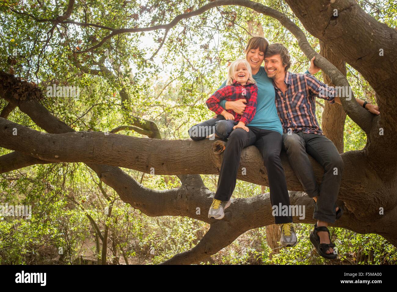 Family father mother child tree hi-res stock photography and images - Alamy