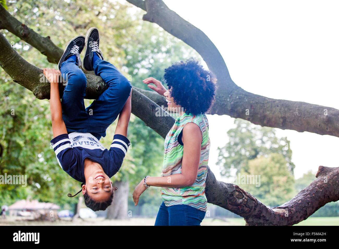 Hanging Upside Down From A Tree
