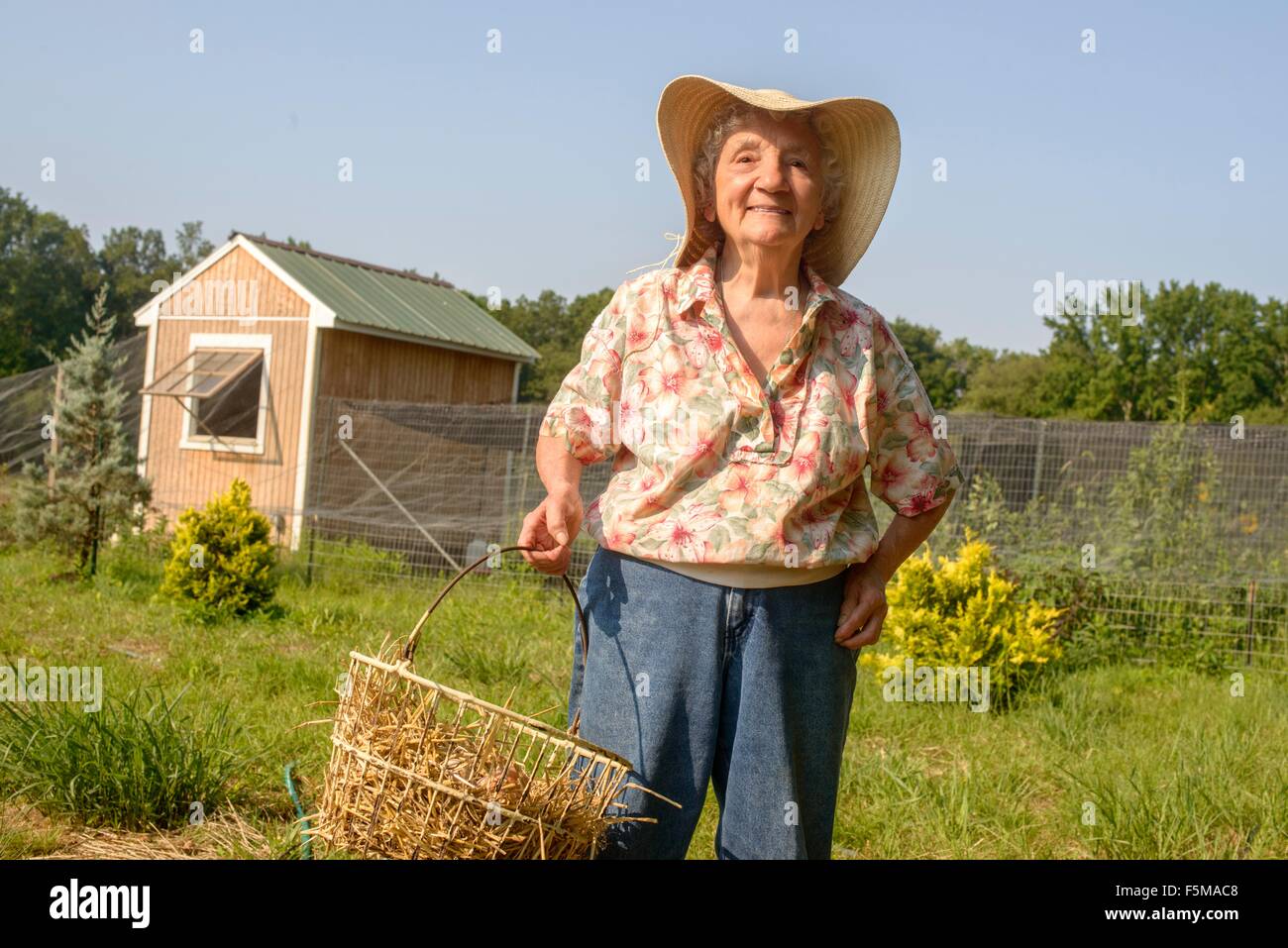 Senior woman carrying basket of straw on farm Stock Photo - Alamy