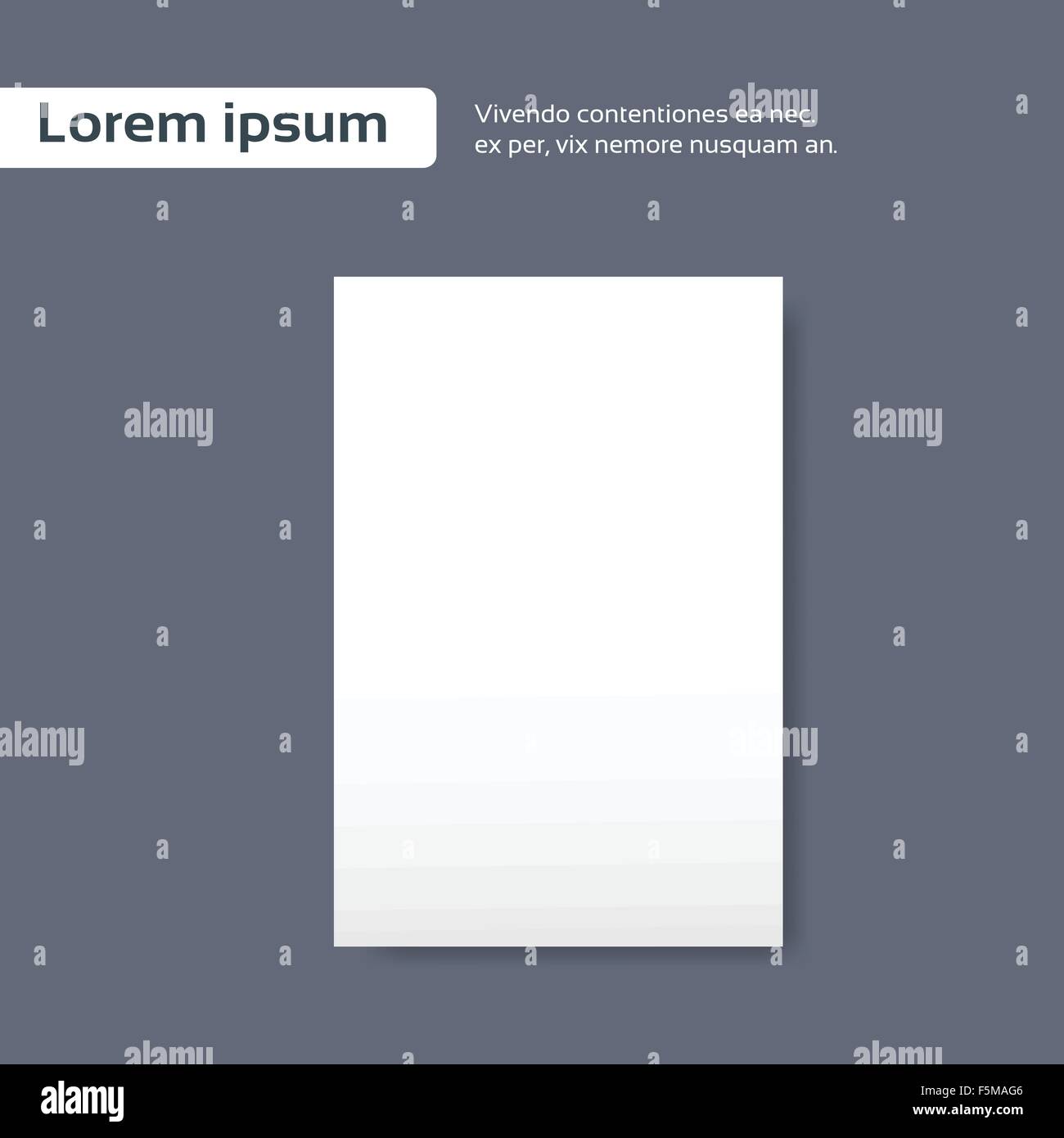 Blank Empty Paper Sheet A4 White Page on Grey Background Template Stock ...