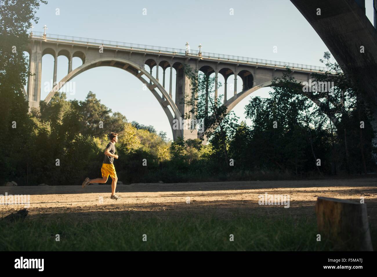 Jogger running, arch bridge in background, Arroyo Seco Park, Pasadena ...