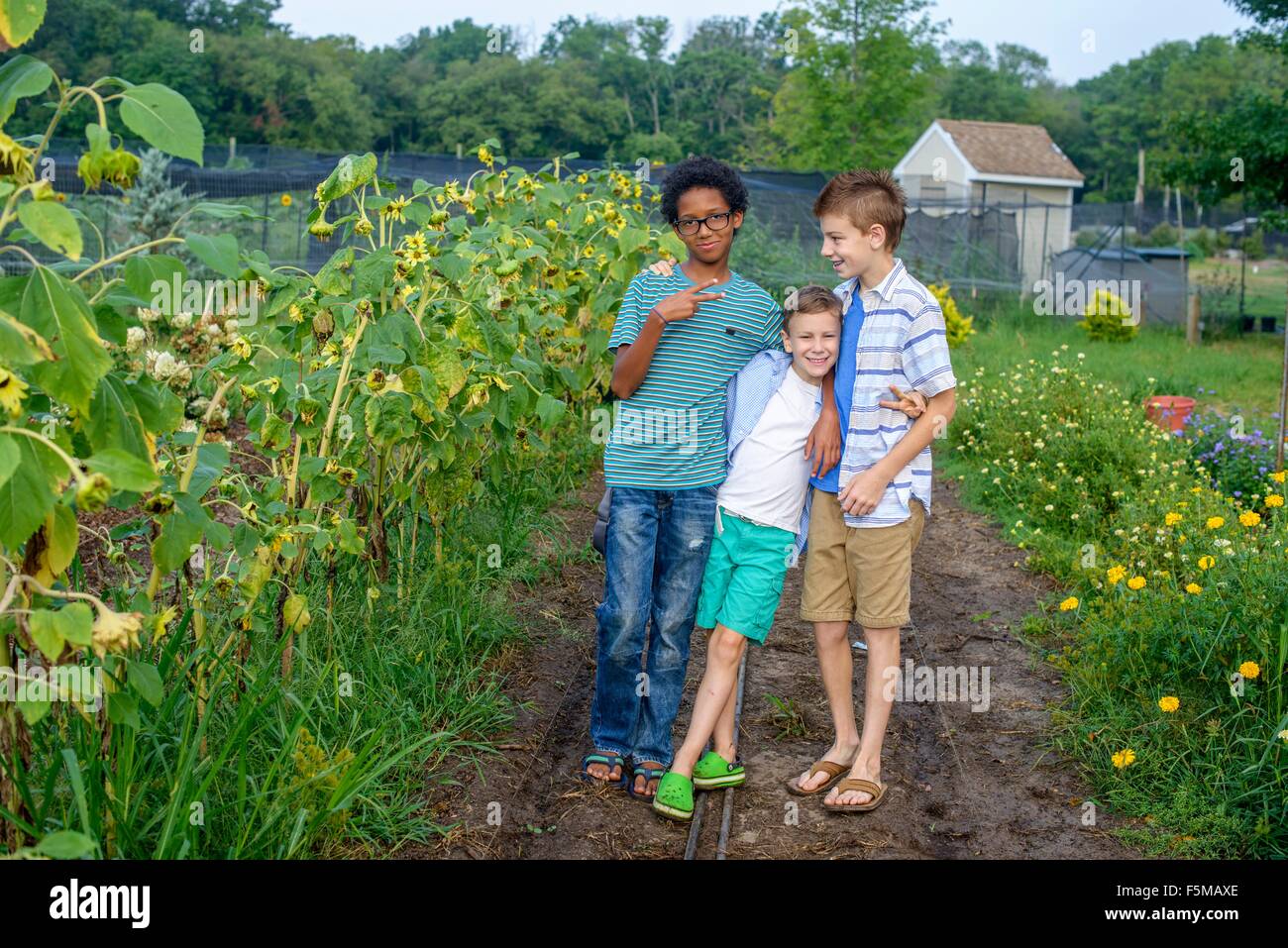 Dirt farm track hi-res stock photography and images - Alamy