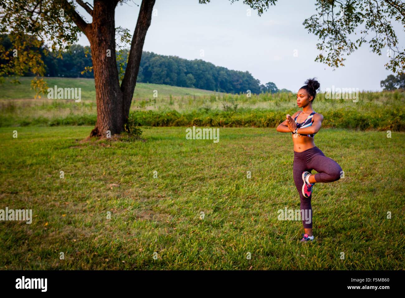 Tree pose hi-res stock photography and images - Alamy