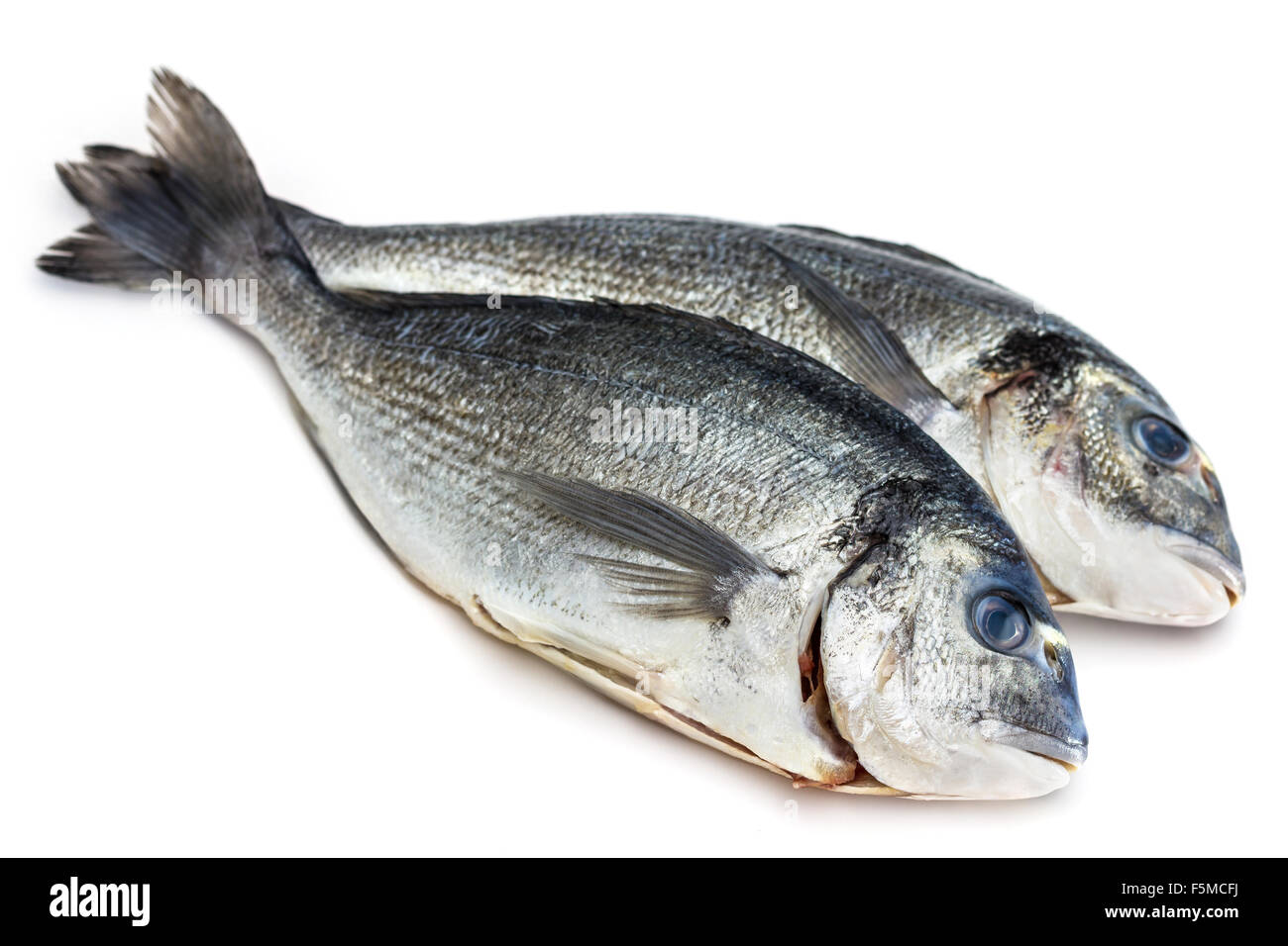 Bream fish isolated on white background Stock Photo - Alamy
