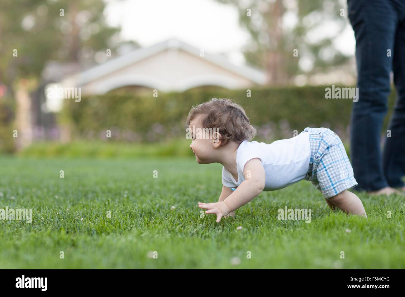 Side view of baby boy crawling on grass Stock Photo - Alamy