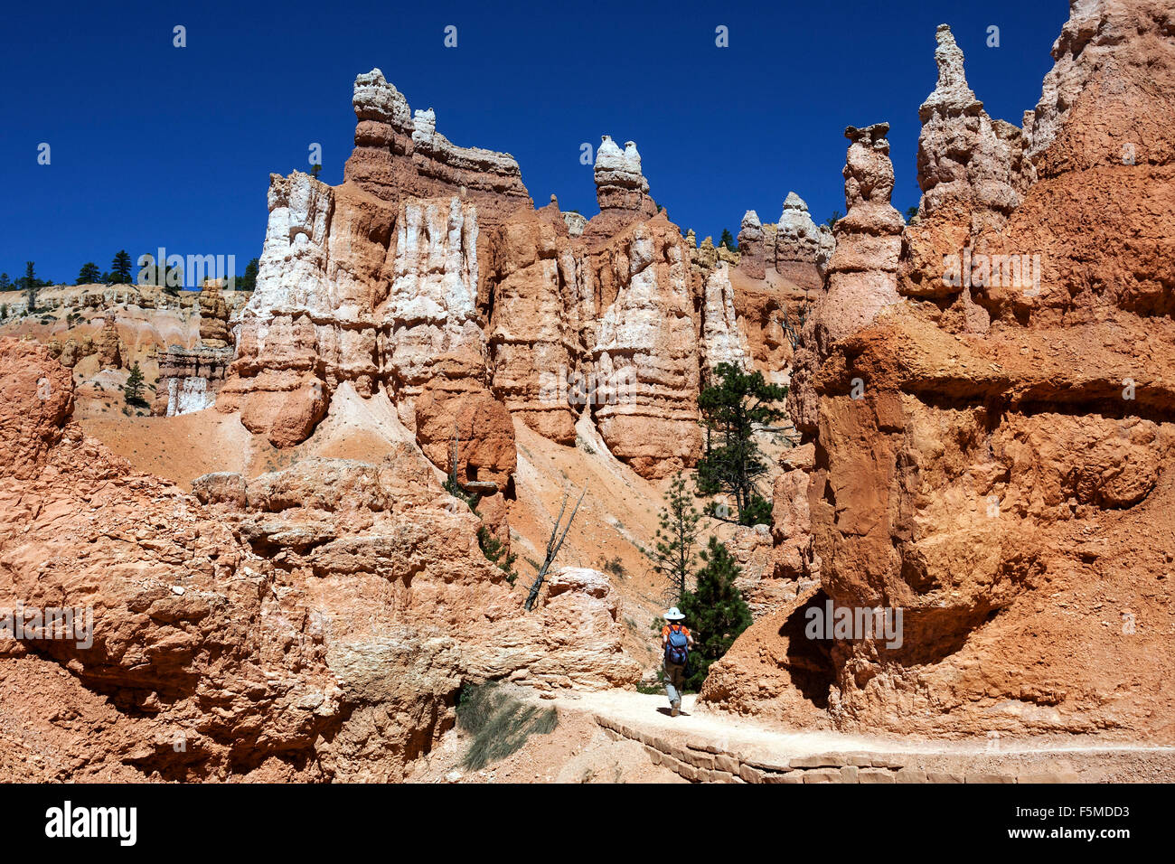 Coloured rock formations, fairy chimneys, hiker in Queens Garden Trail ...
