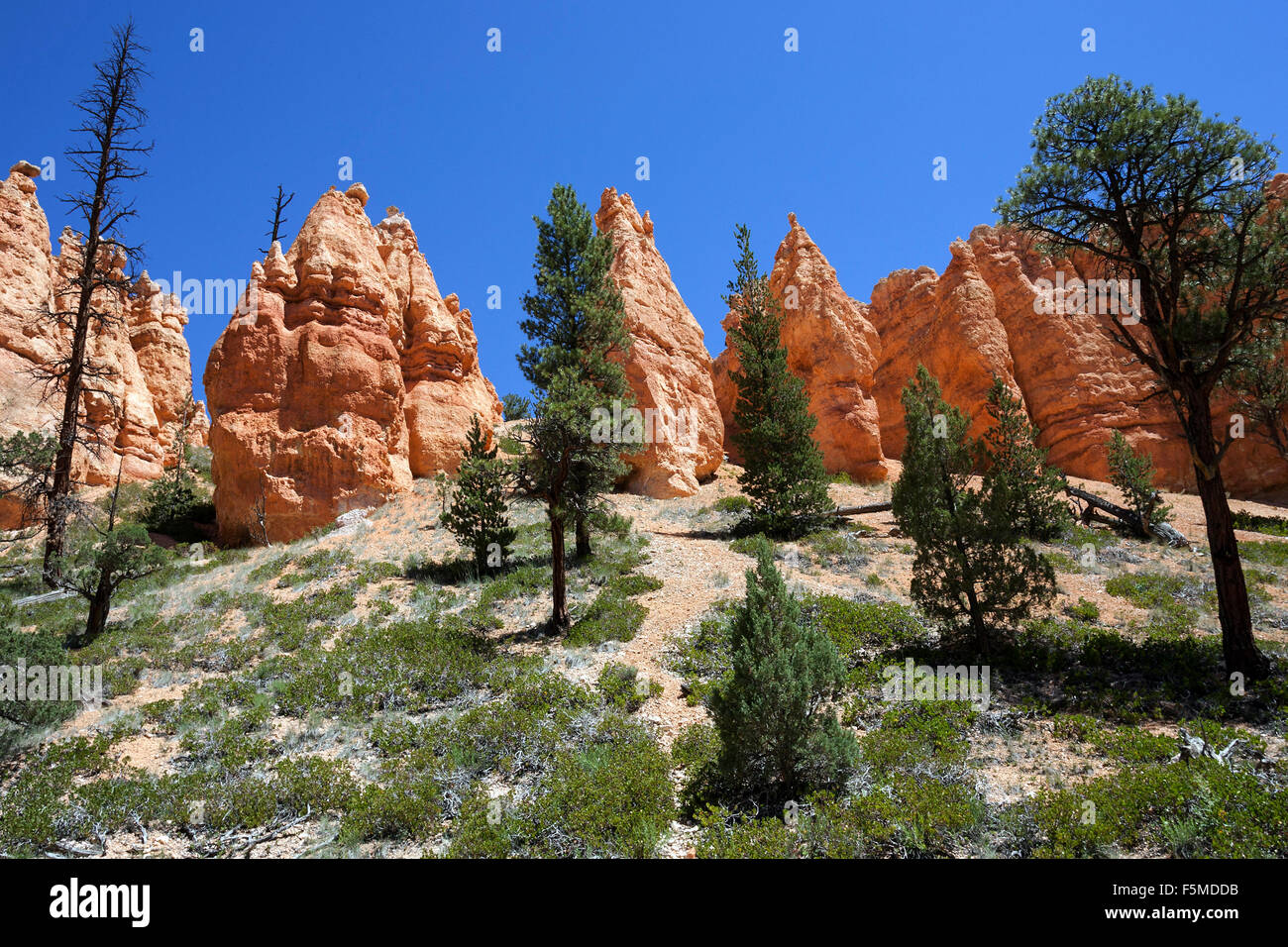 Coloured rock formations, fairy chimneys, Navajo Loop Trail, Bryce ...