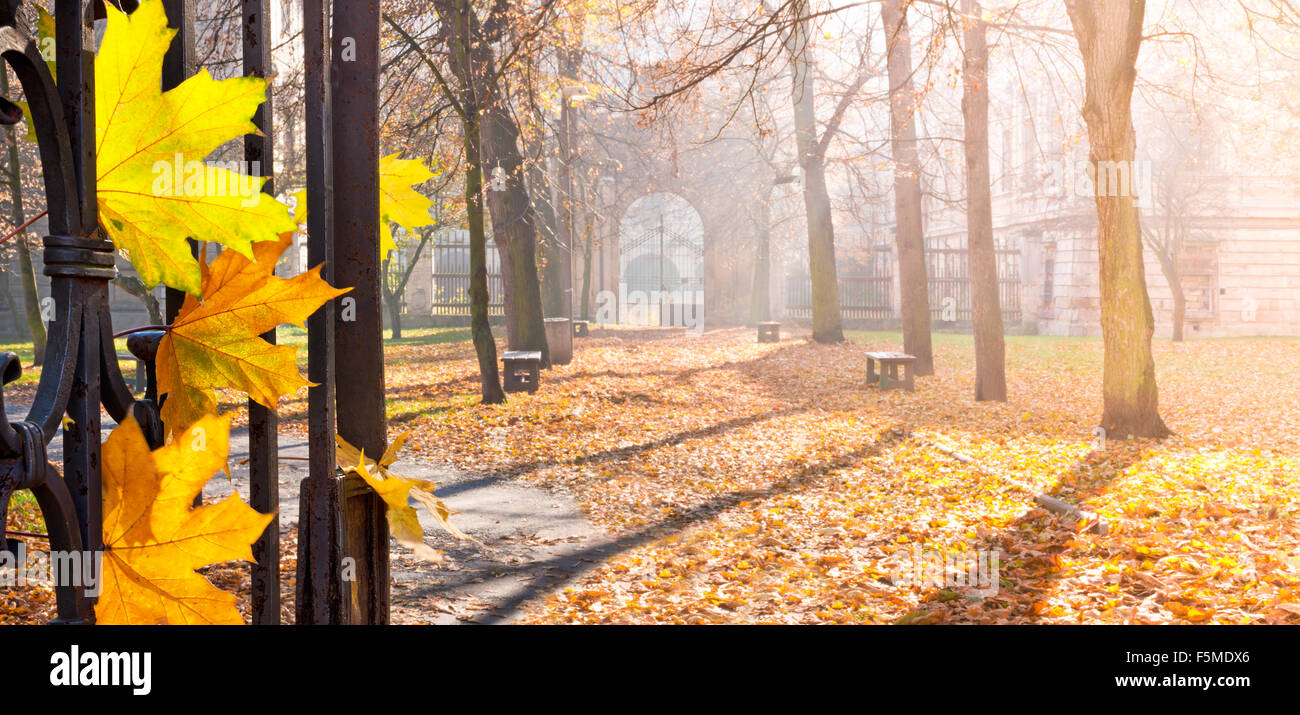 autumn colonnade with a gateway and yellow blades Stock Photo - Alamy