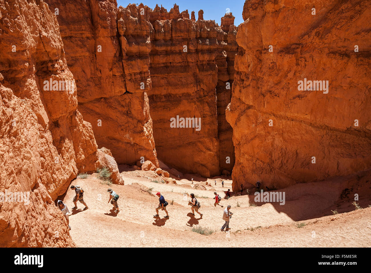 Coloured rock formations, fairy chimneys, Navajo Loop Trail, Bryce ...