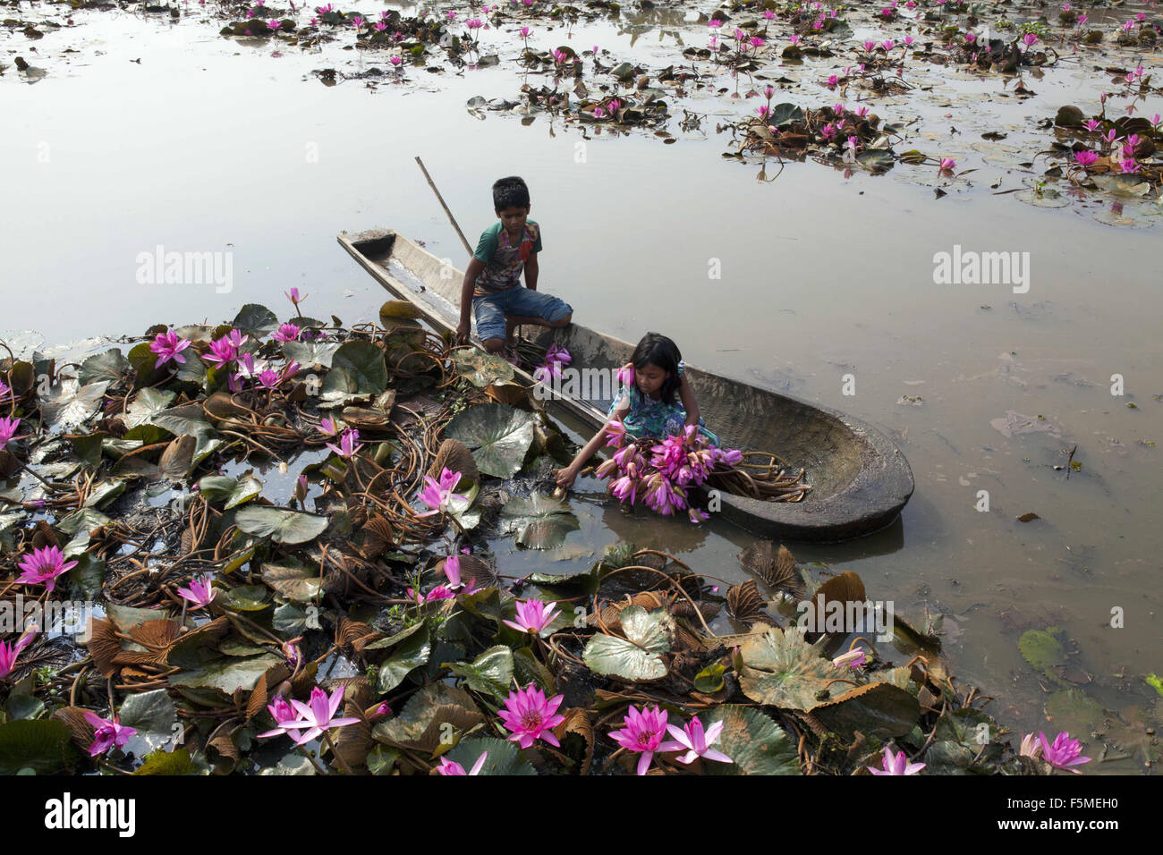 Nov. 6, 2015 - Gazipur, Bangladesh - DHAKA, BANGLADESH 06th November ...