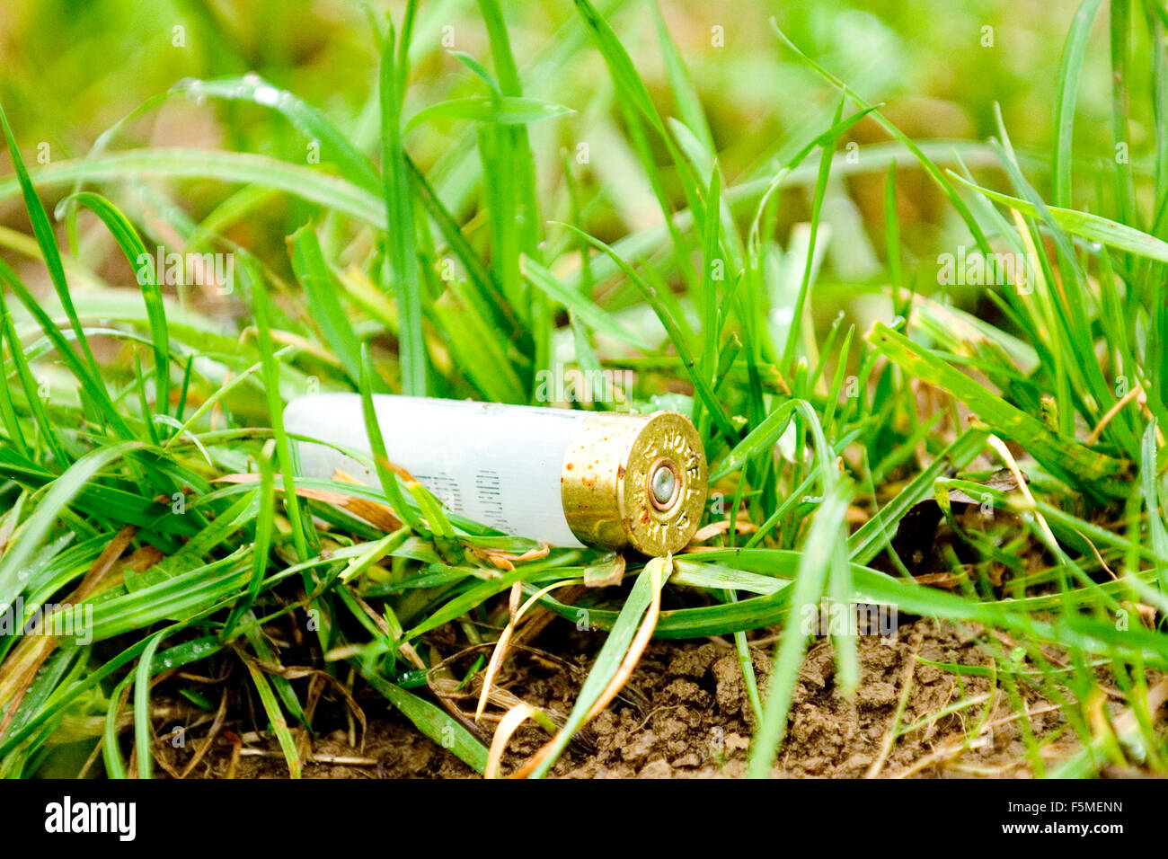 Lead ban hi-res stock photography and images - Alamy