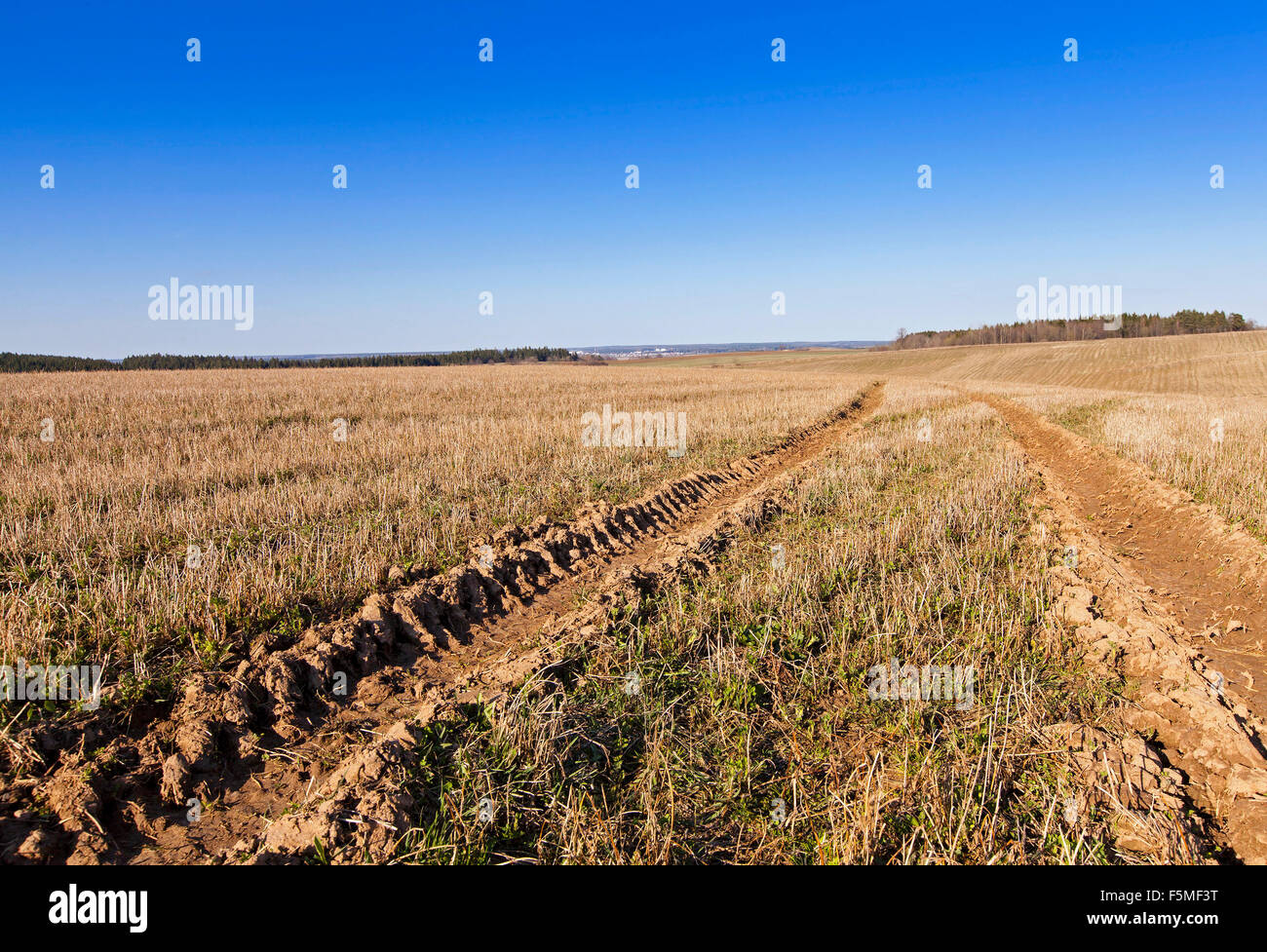 green vegetation . field Stock Photo - Alamy