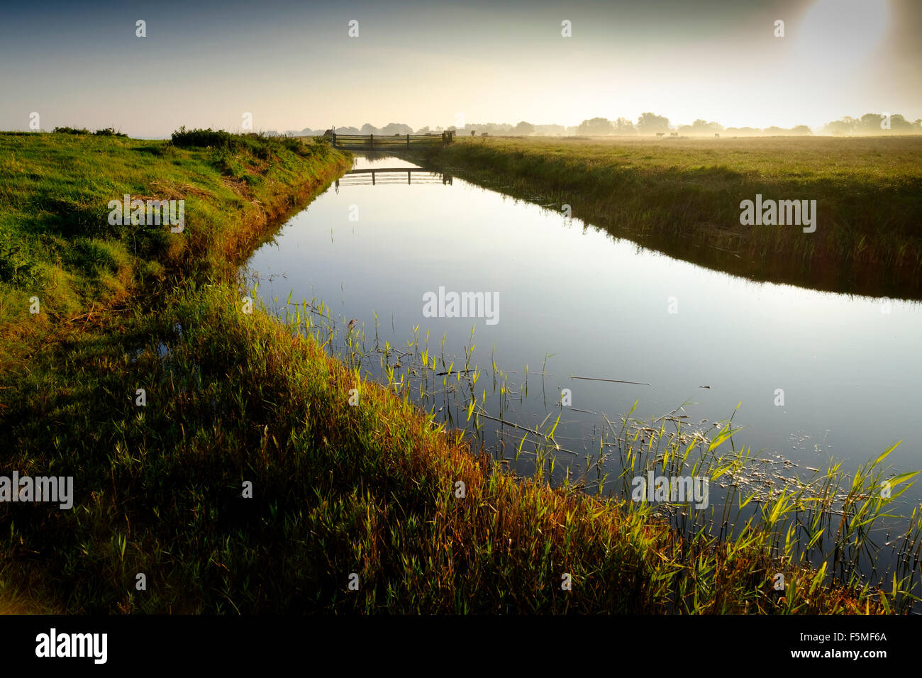 Dyke marsh hi-res stock photography and images - Alamy
