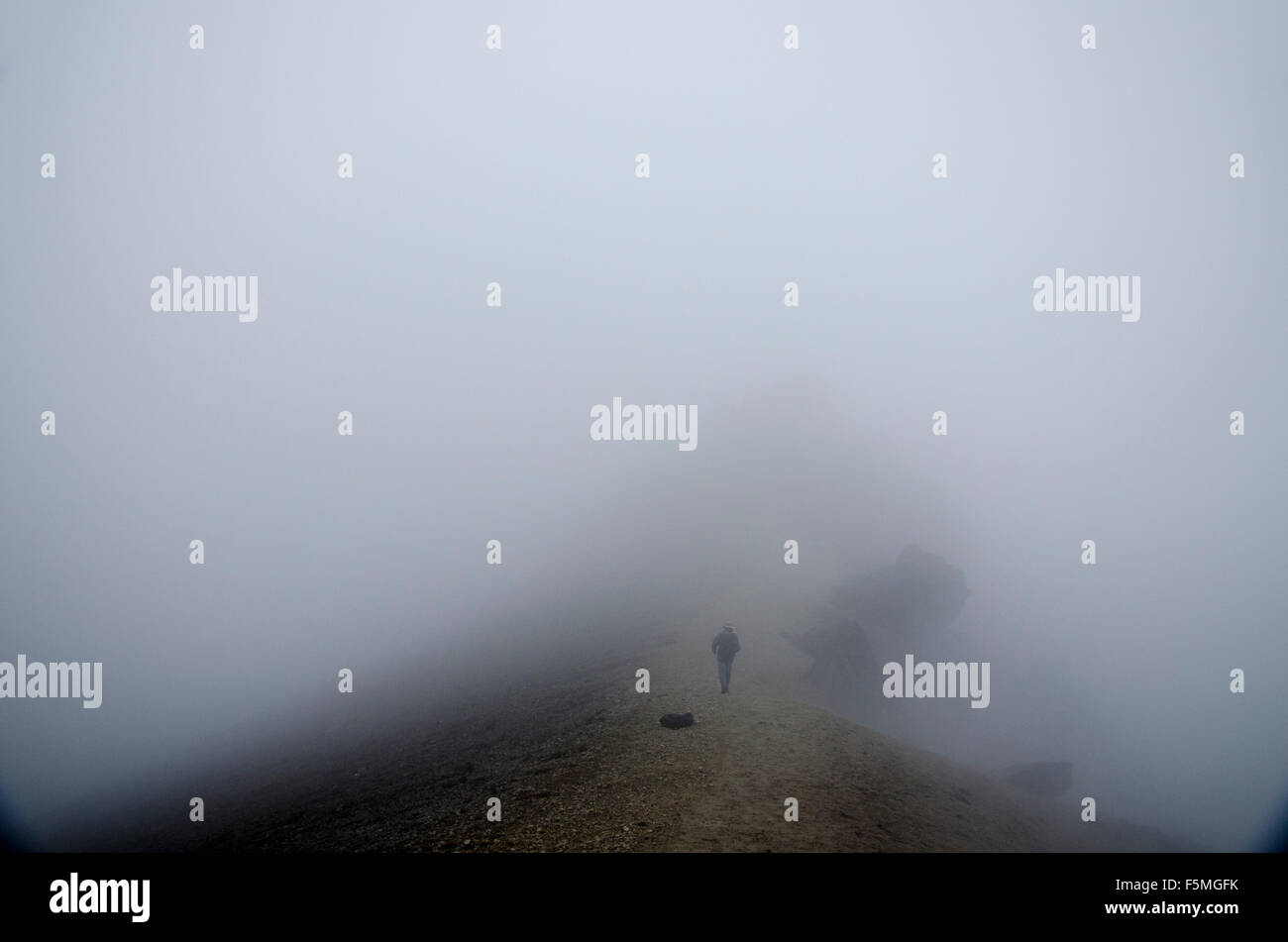 Running for the Summit Stock Photo - Alamy