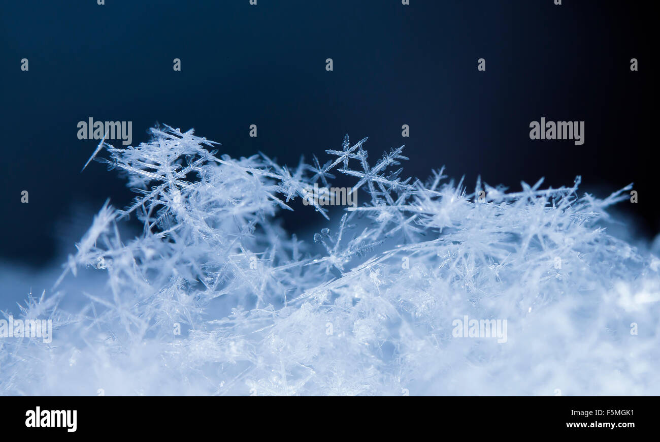 natural snowflakes on snow Stock Photo - Alamy