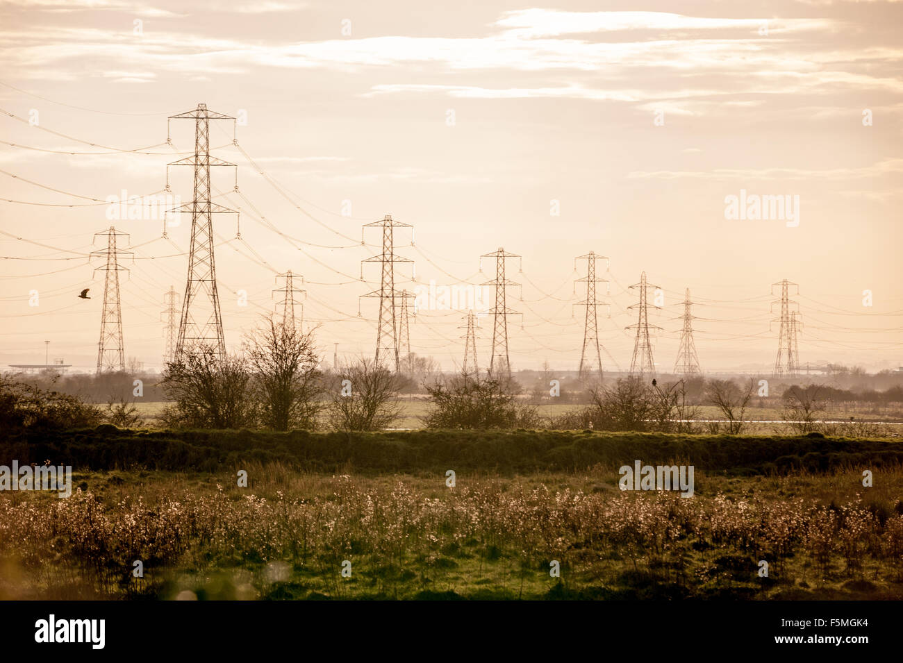 Electrical pylons in countryside Stock Photo - Alamy