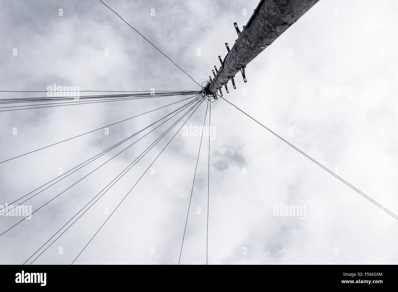 Telegraph pole looking up hi-res stock photography and images - Alamy